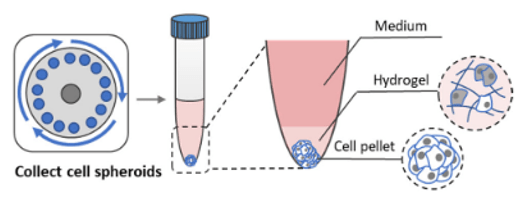 Human pluripotent stem cells expansion with xeno-free hydrogel
